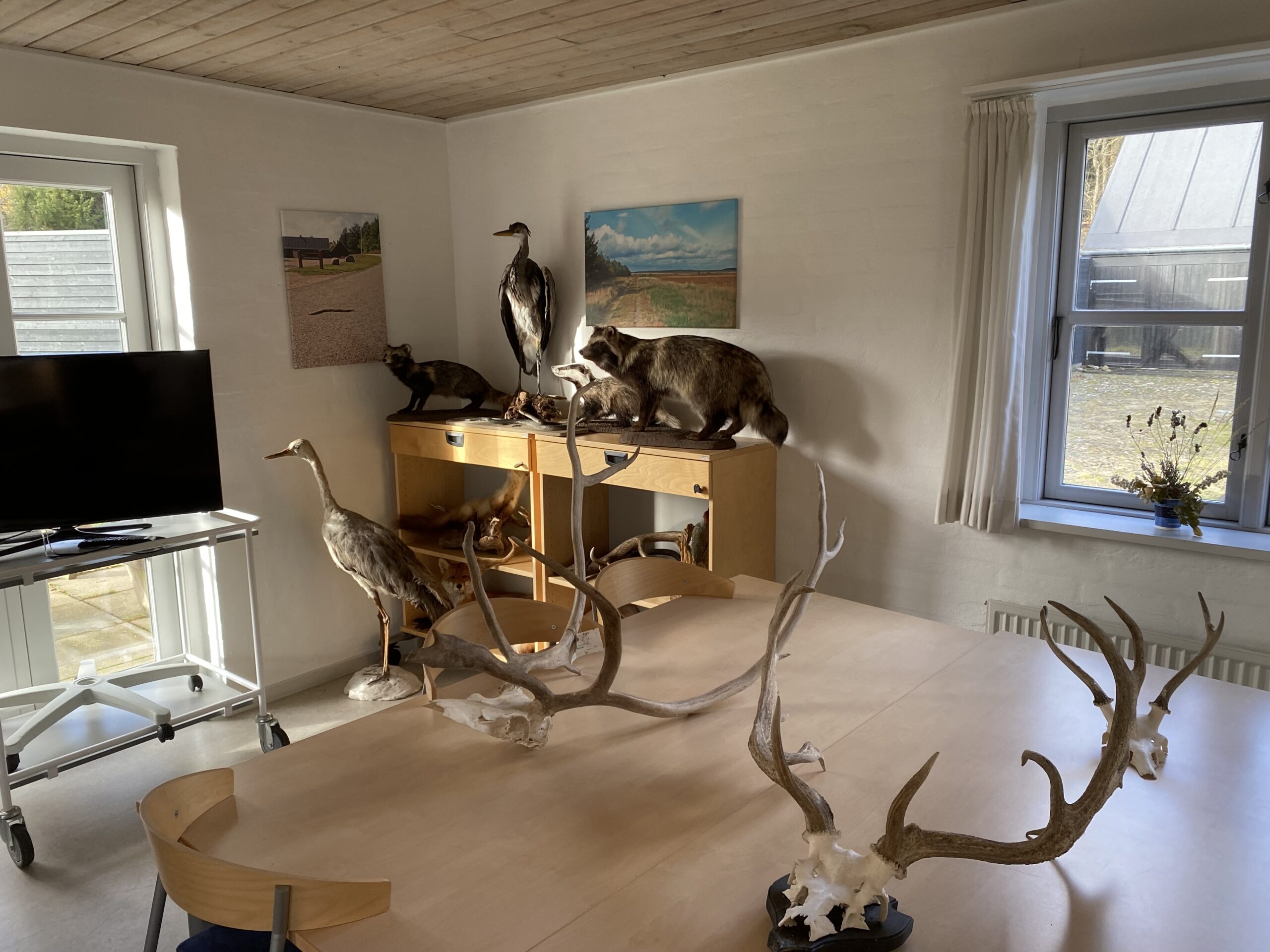 HARRILD HEDE 2023 – Fonder Science